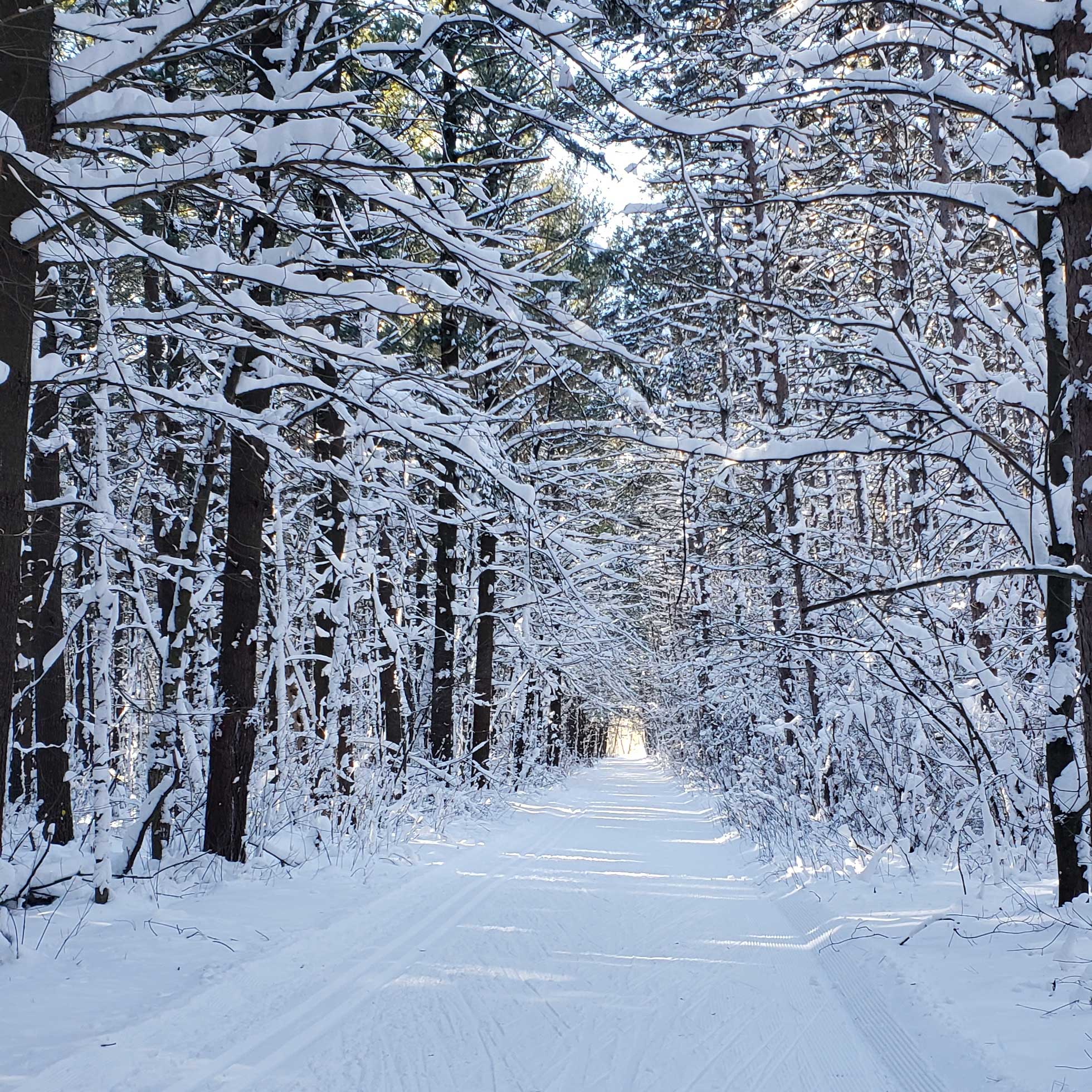 Trails – Northern Kettle Moraine Nordic Ski Club